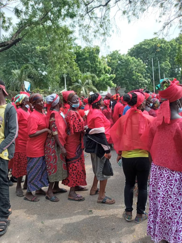 Review ElectroChem Project, Implement Master Plan'